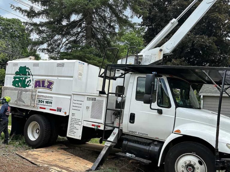Professional Tree Services for Your Home & Business - ALZ Tree Services